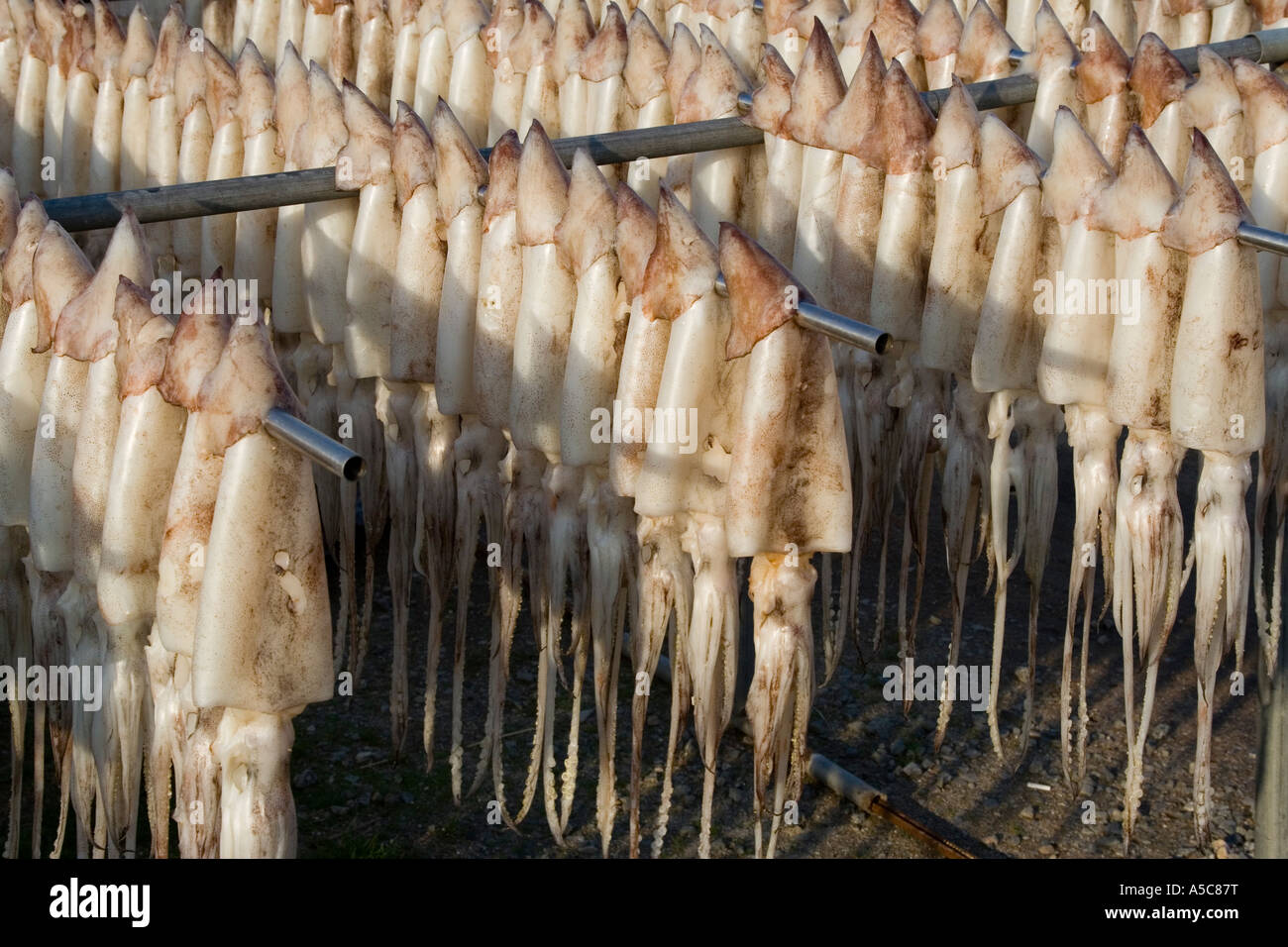 Dried cuttlefish hi-res stock photography and images - Alamy