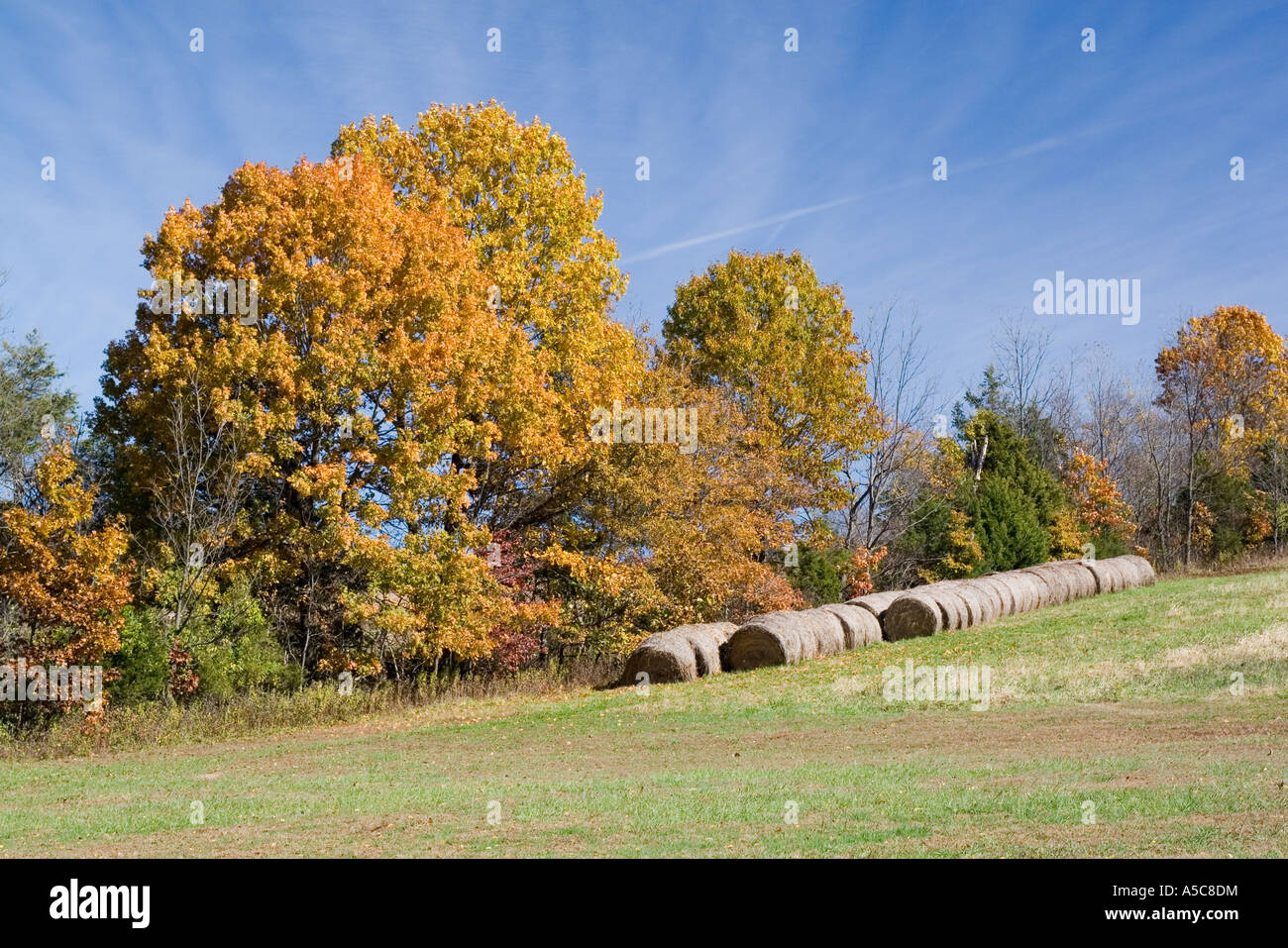 Rhineland missouri hi-res stock photography and images - Alamy