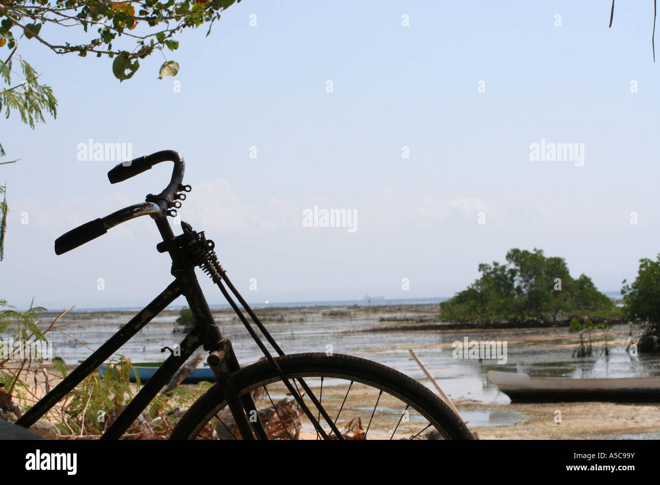 Bike and Mangrove Swamp Stock Photo - Alamy