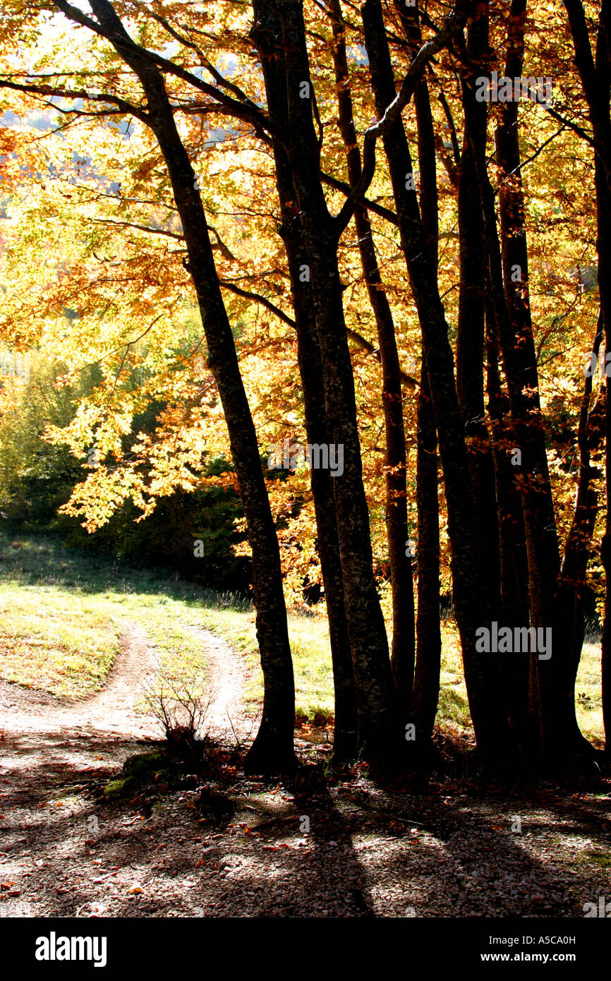 Autumn / Fall foliage colors in the landscape of the Sibillini National ...