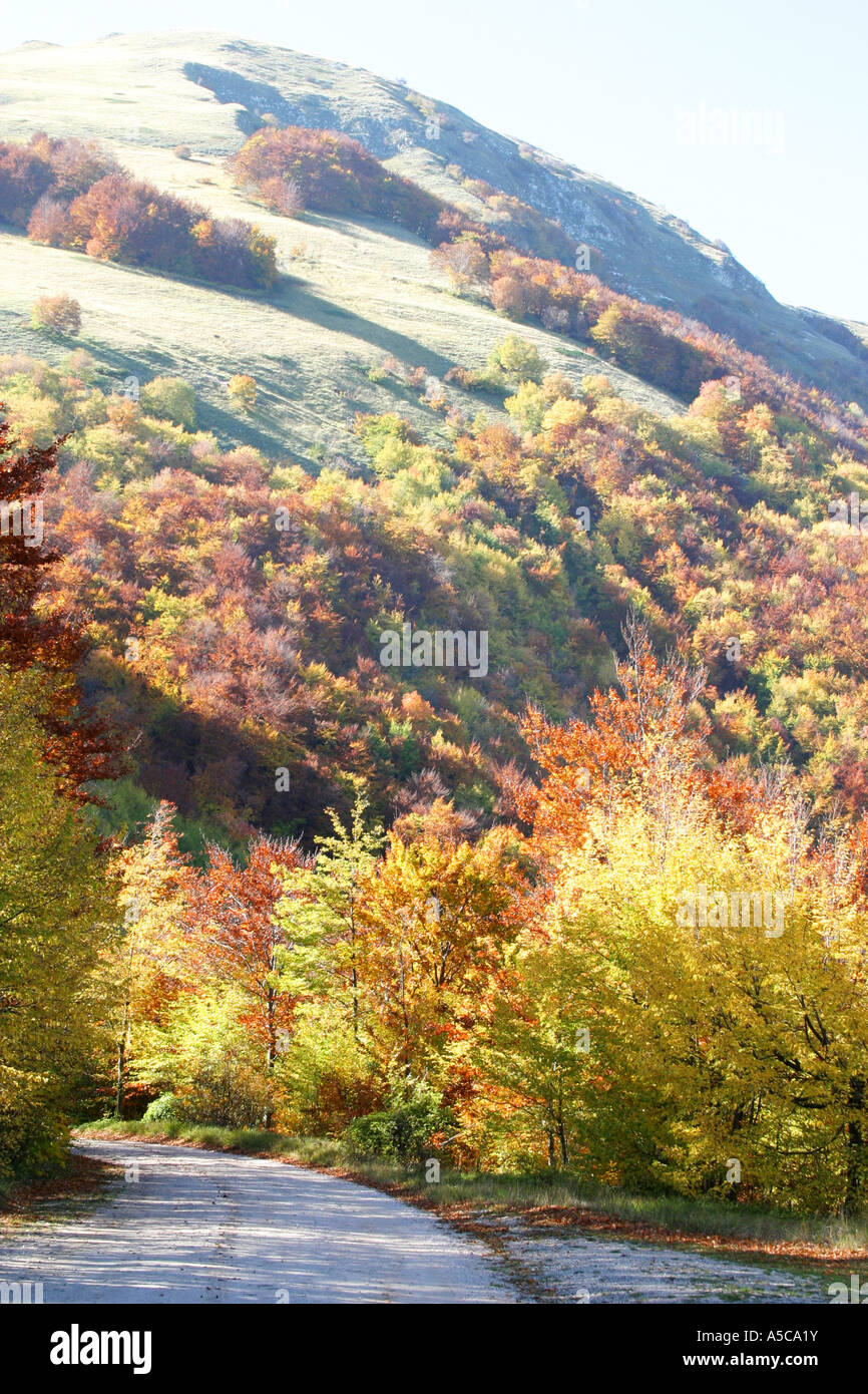 Wonderful Autumn or fall colors in the Sibillini National Park of Le ...