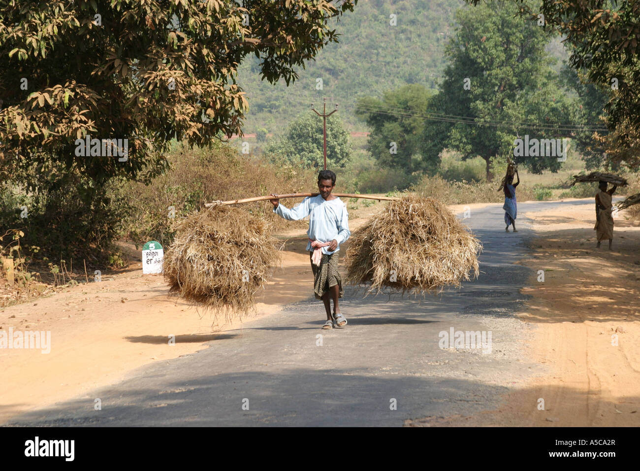 Man carrying a load of hay on a pole across his shoulders in Orissa ...