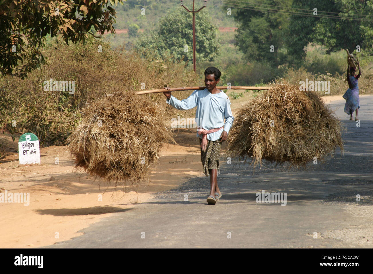 Man carrying a load of hay on a pole across his shoulders in Orissa ...
