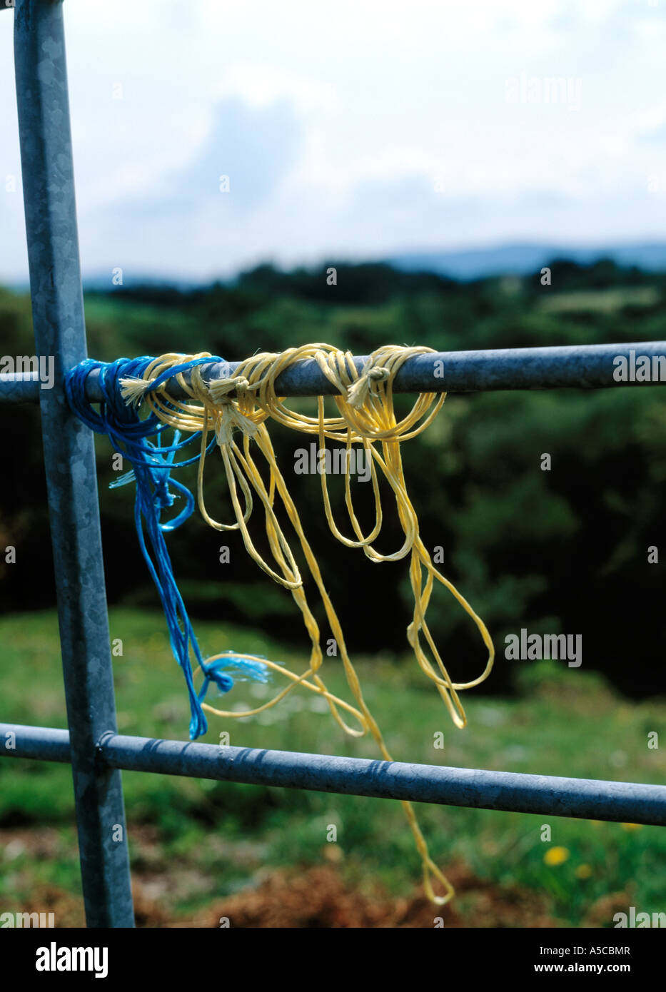 irish farmer leaving plastic twine ties to a gate, strings attached ...