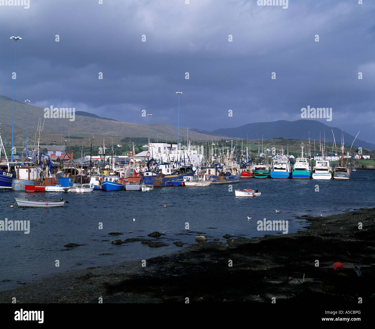 large fishing port on irish south west coast, large fishing trawlers ...
