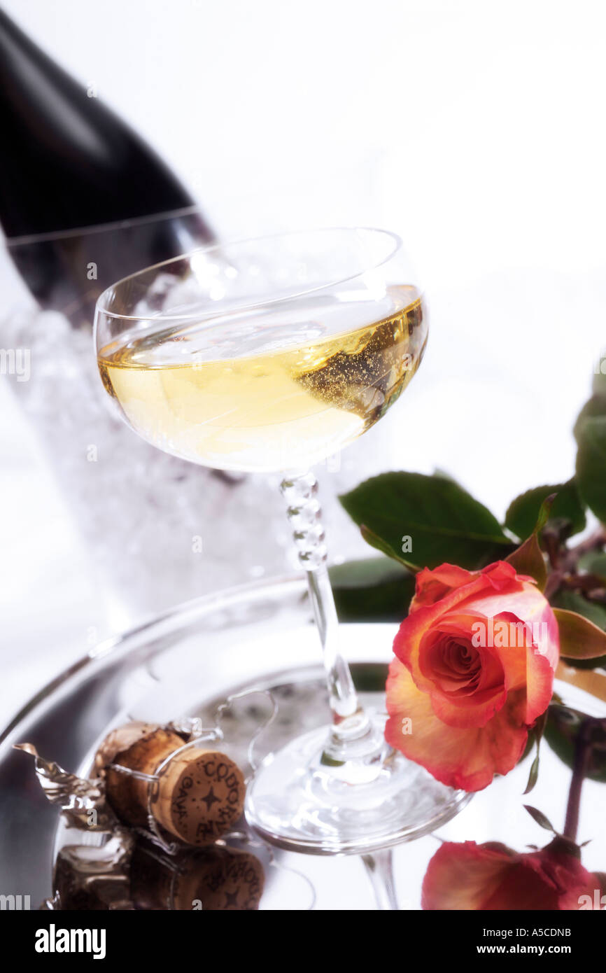 Champagne with rose Stock Photo - Alamy