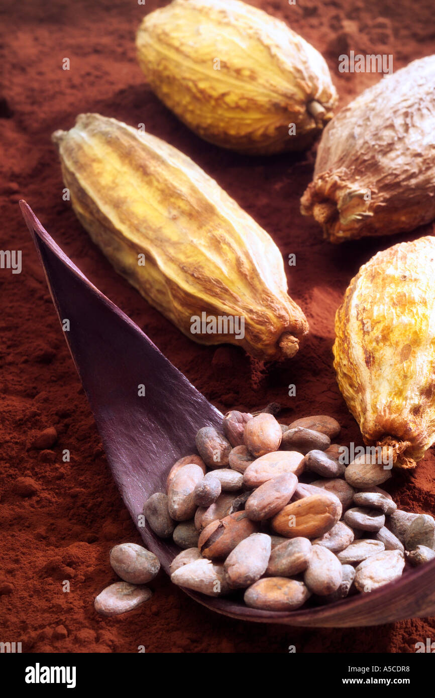 Cacao, crop and seeds Stock Photo - Alamy