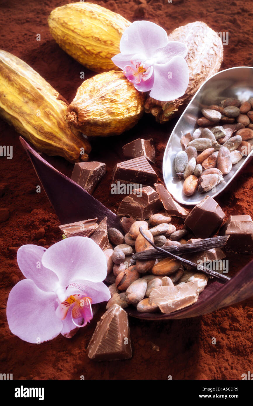 Cacao, crop, seeds and chocolate, elevated view Stock Photo - Alamy