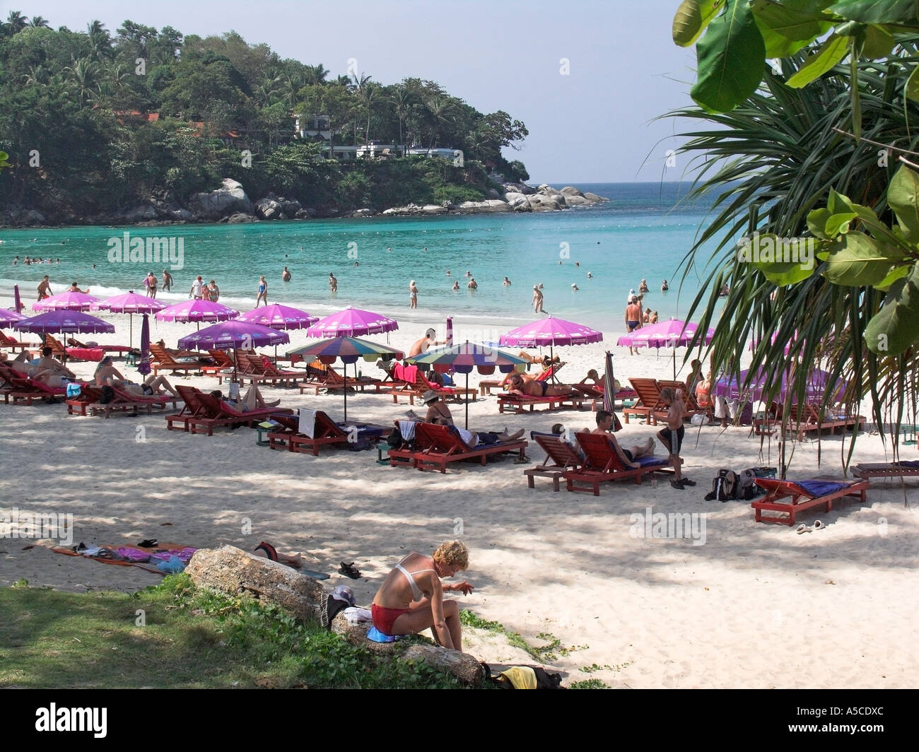Purple umbrellas line Karon Beach Phuket Thailand Stock Photo - Alamy