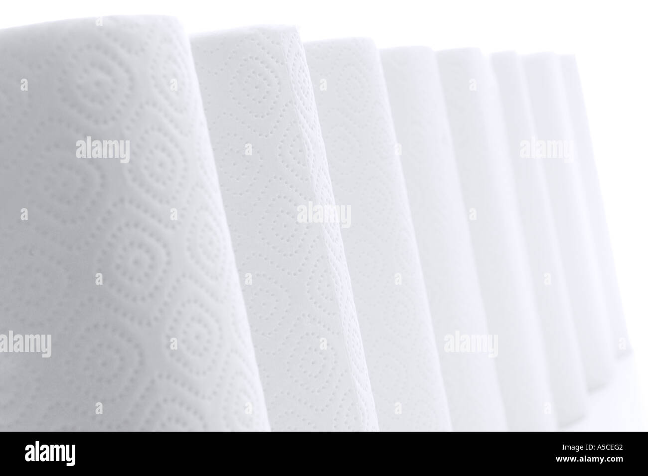Kitchen roll paper hi-res stock photography and images - Alamy