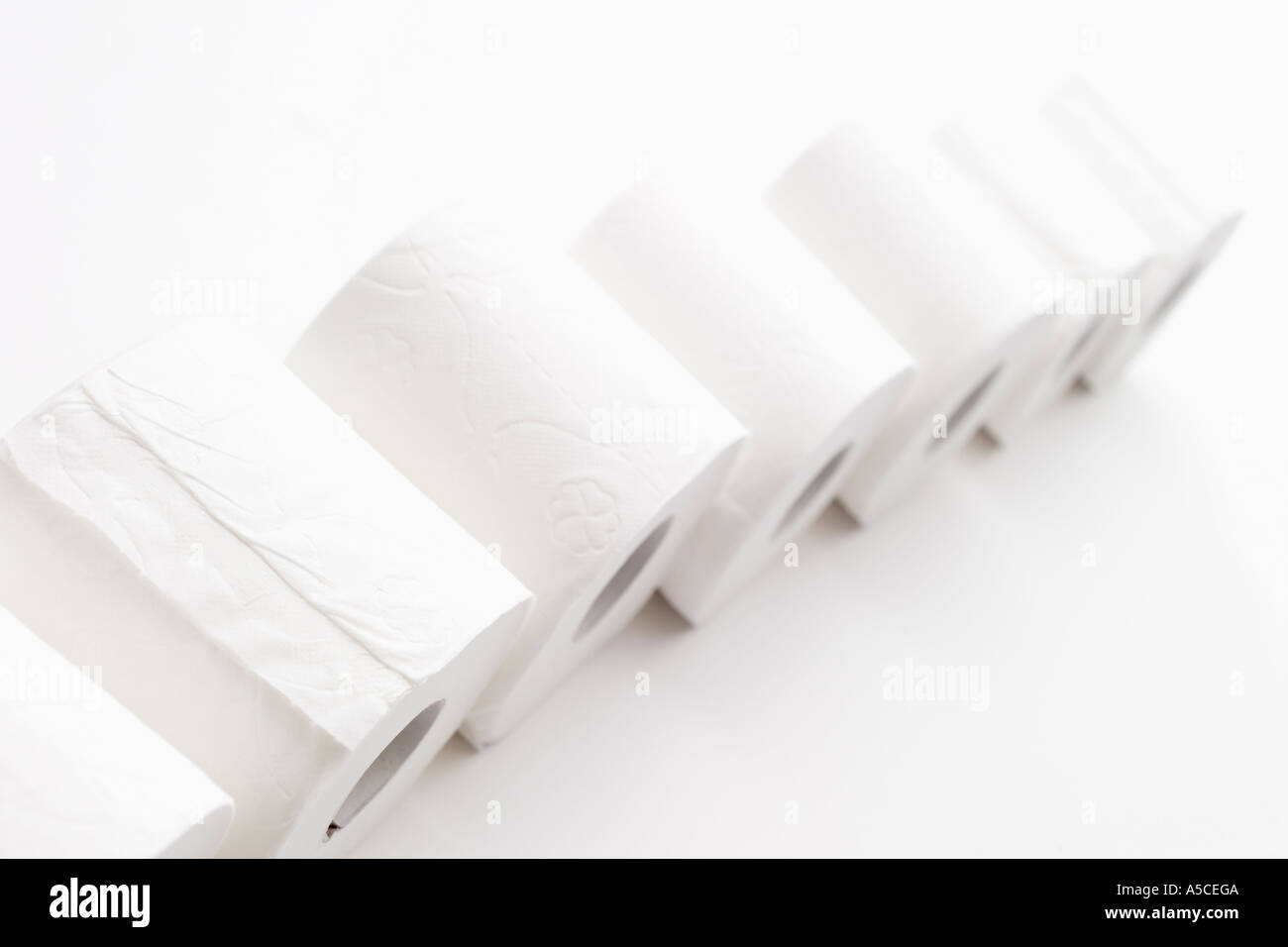 Toilet paper in a row Stock Photo - Alamy