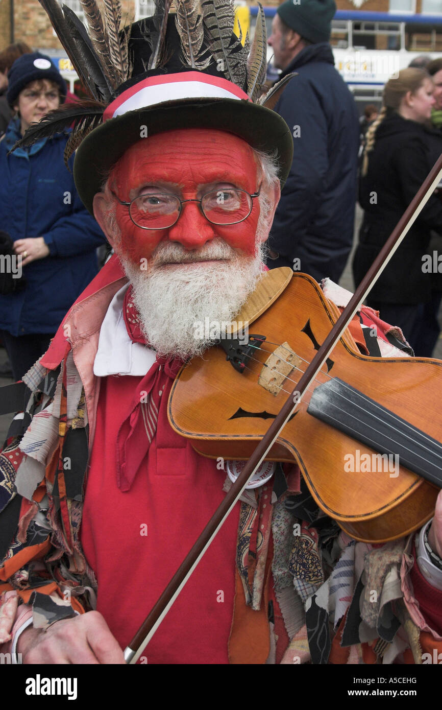Red Faced Fiddler Stock Photo - Alamy