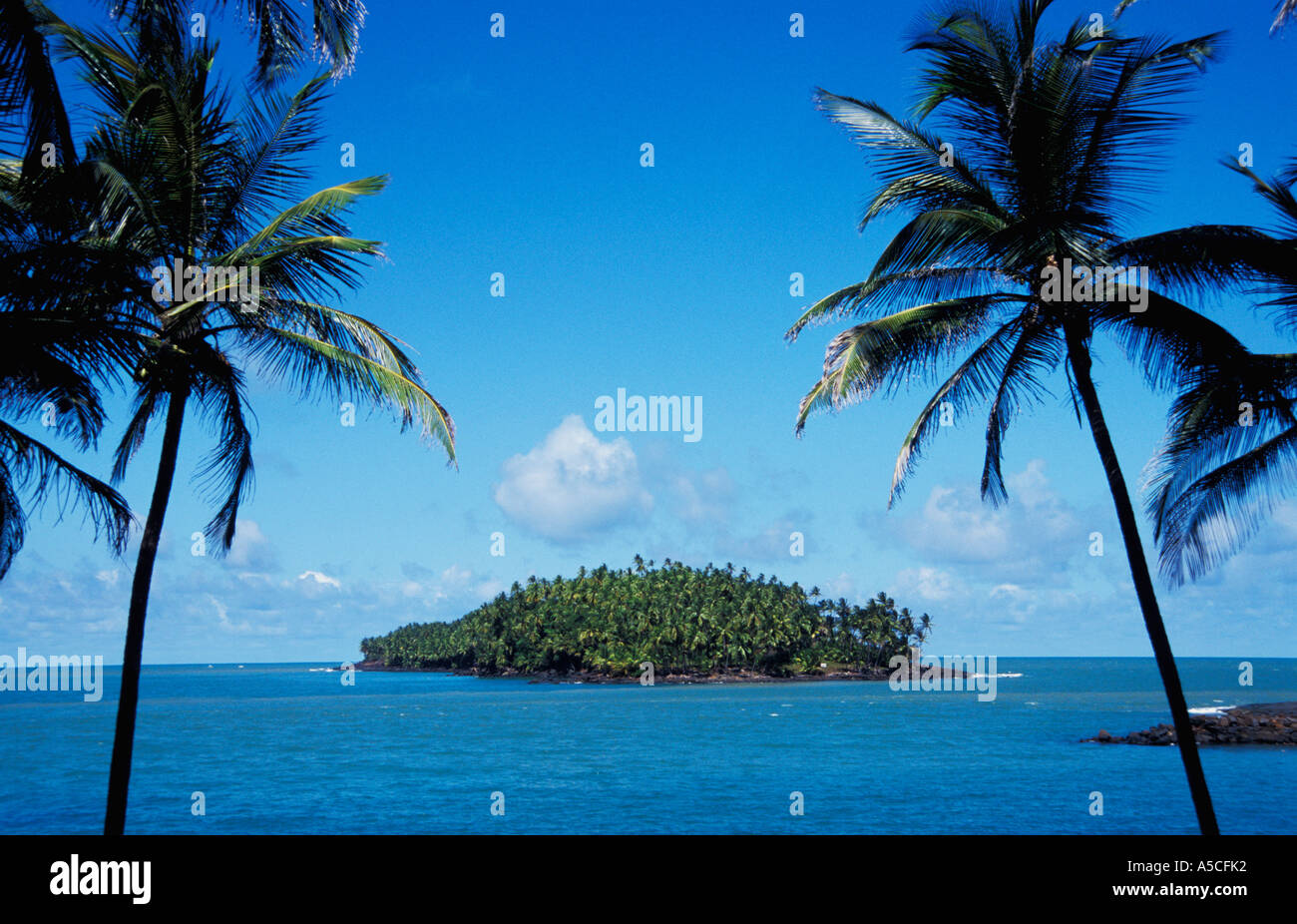 French blue devils hi-res stock photography and images - Alamy