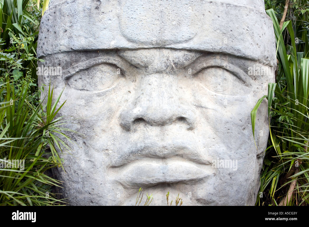 Maya face in jungle Stock Photo - Alamy
