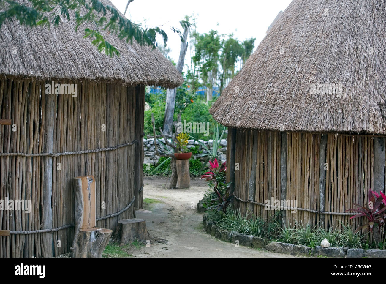 Ancient mayan hut hi-res stock photography and images - Alamy
