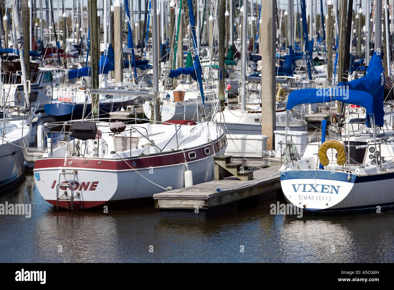Sail boats in dock Stock Photo - Alamy