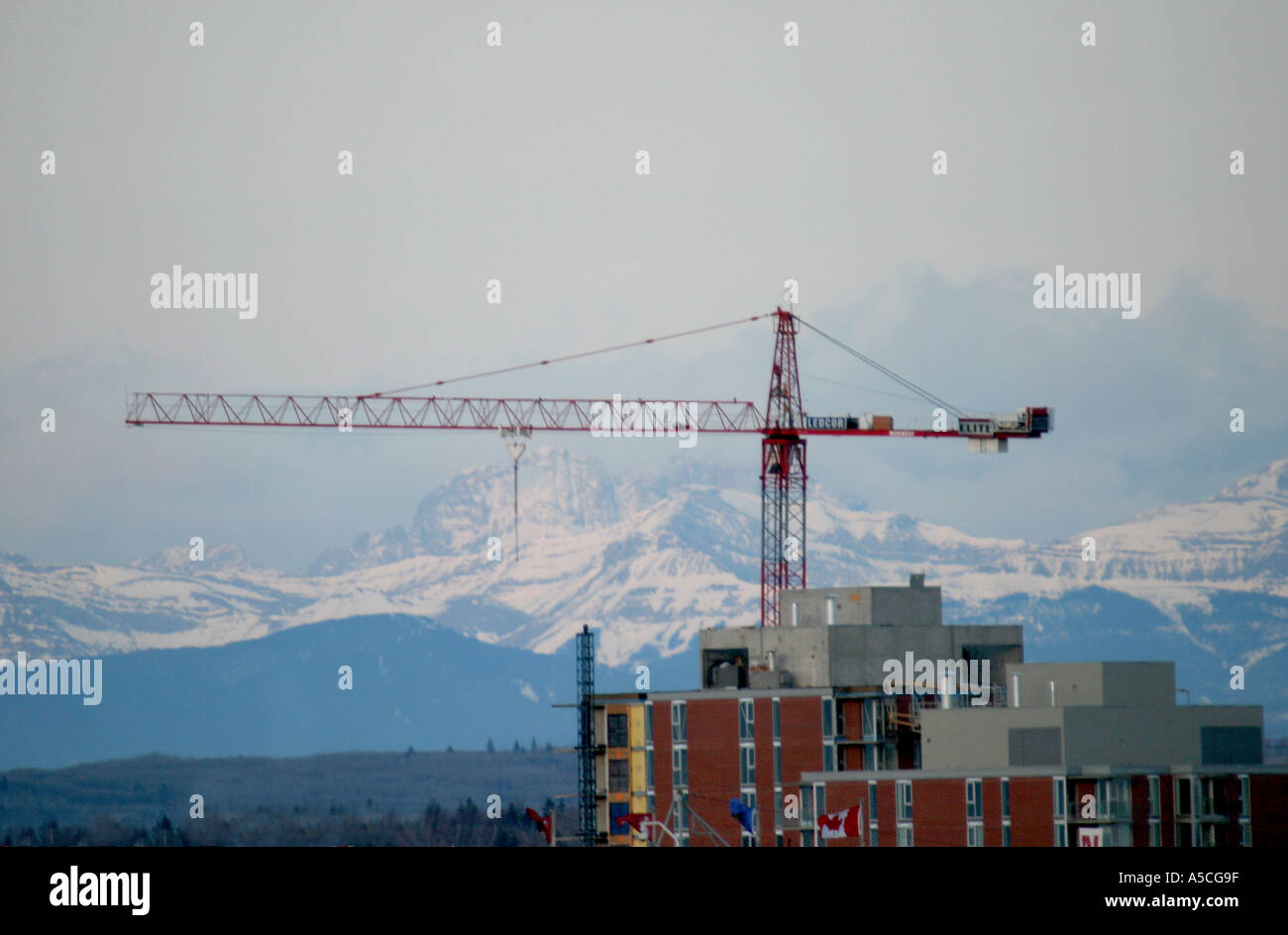 Elevator cranes photo hi-res stock photography and images - Alamy