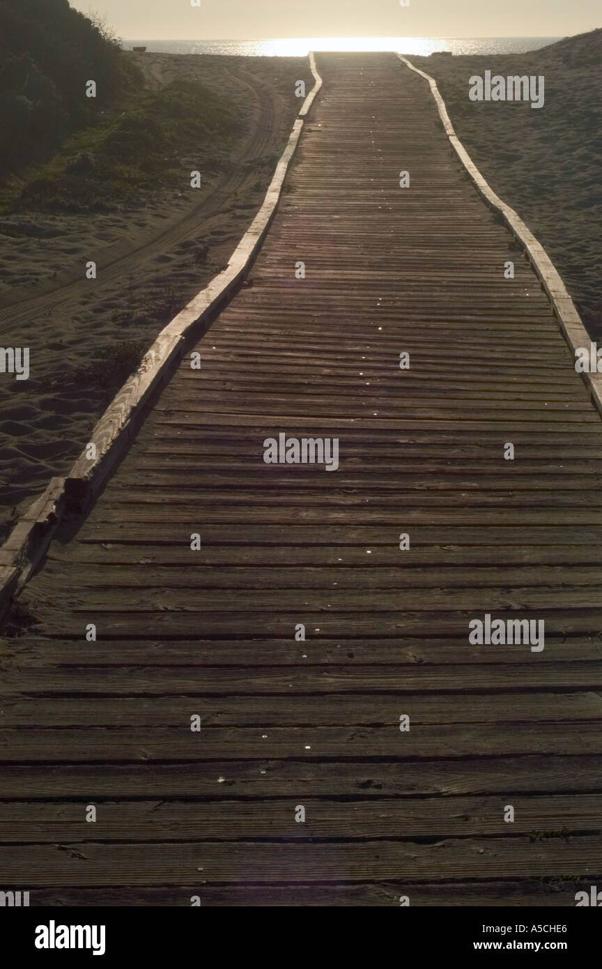 A color vertical image of a wooden boardwalk path through dunes to the ...