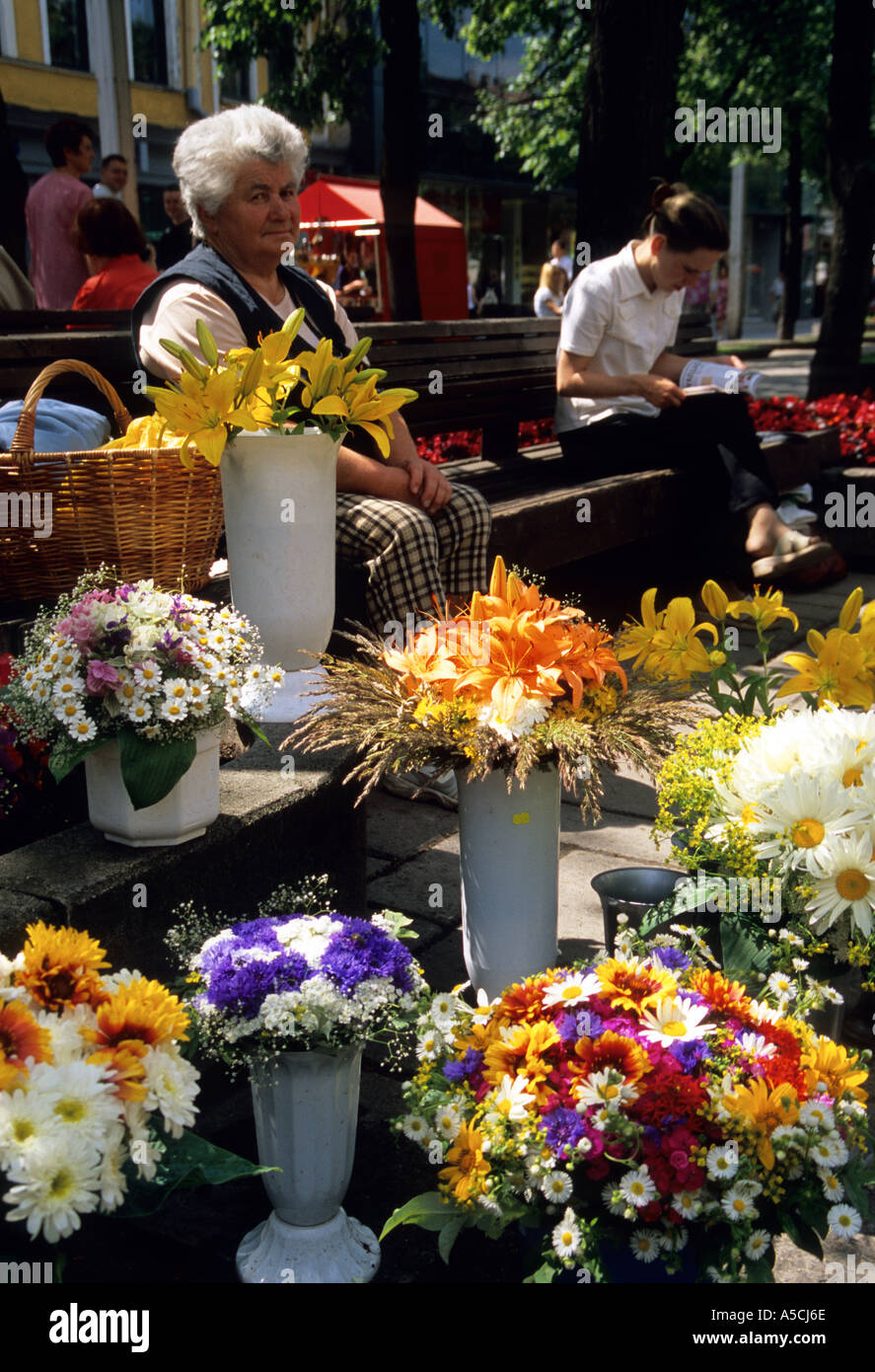 Kaunas Lithuania Flower vendor on city s pedestrian shopping mall Stock ...