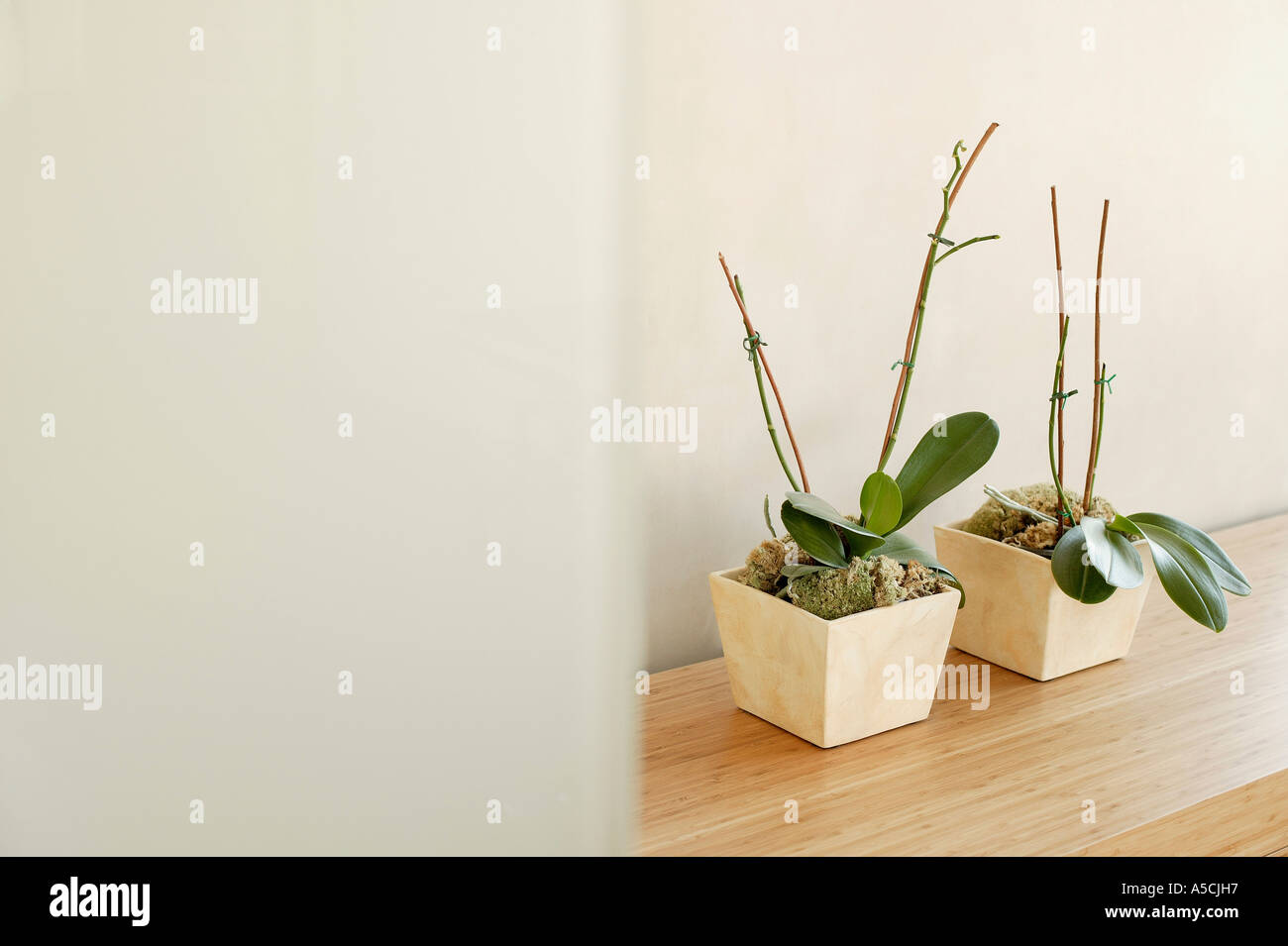 Shelf wit two flower pots Stock Photo - Alamy