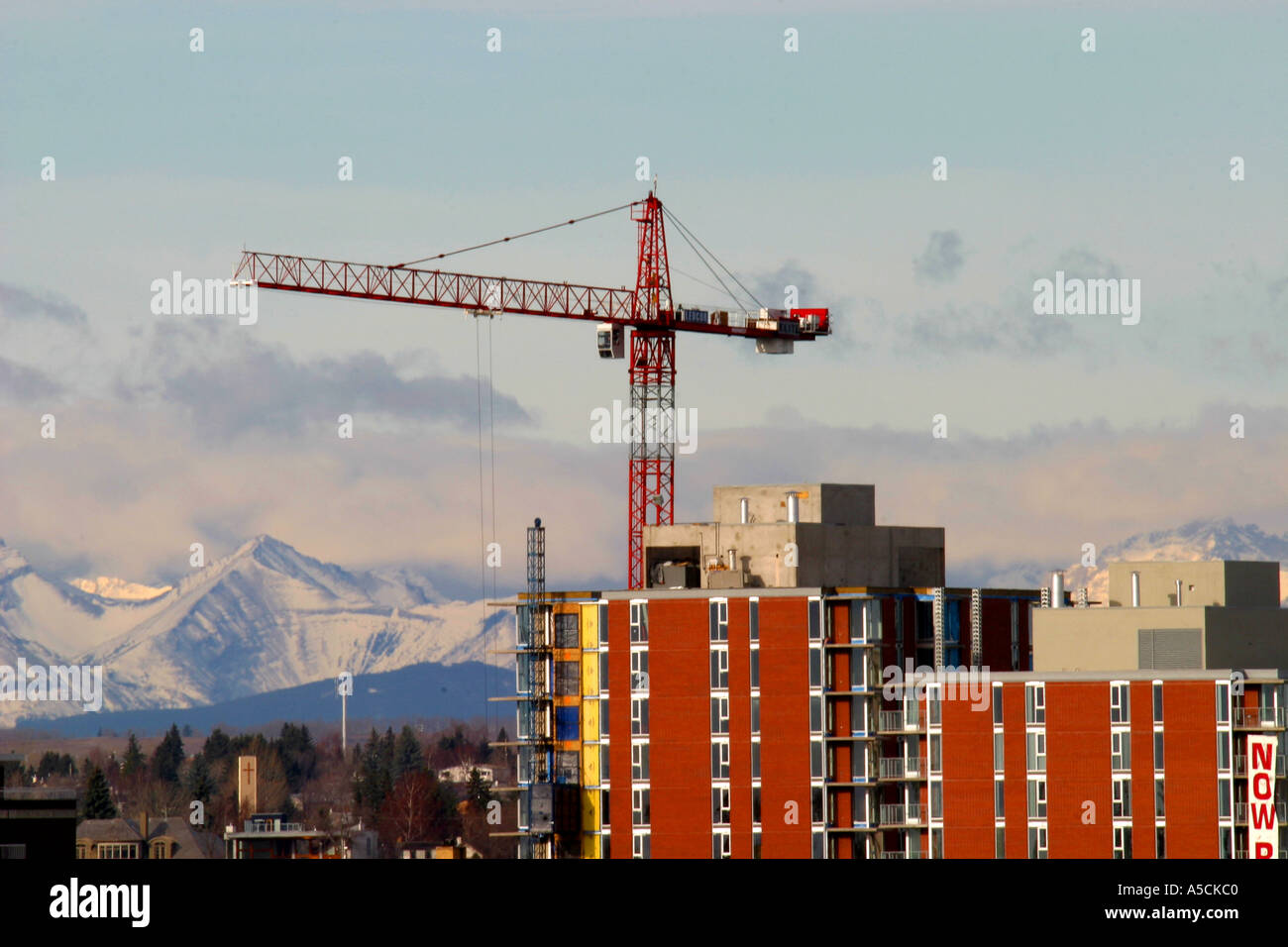 Construction crane and Downtown Calgary Alberta Canada Stock Photo - Alamy