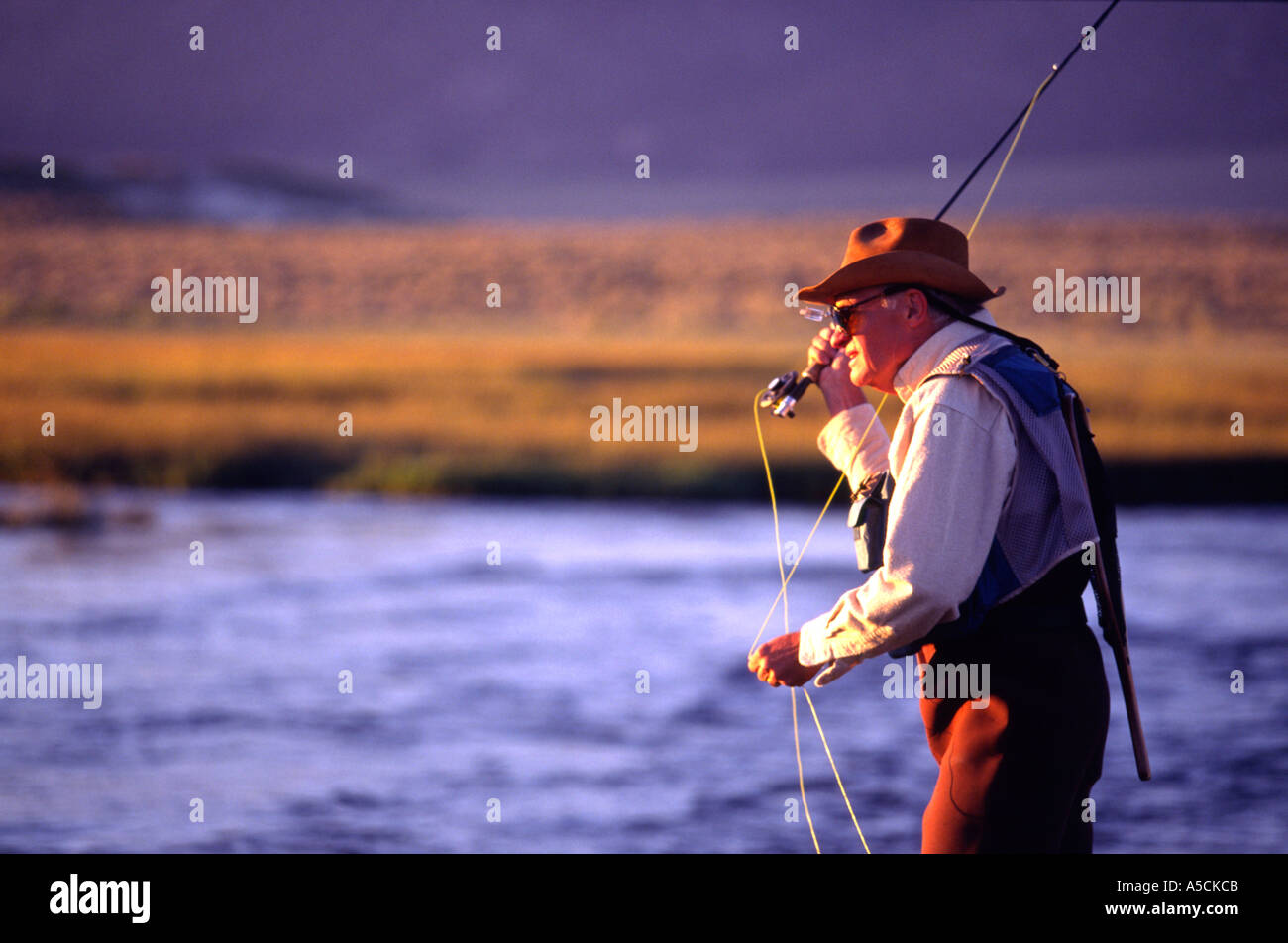 Man fly fishing Model Released image Stock Photo - Alamy