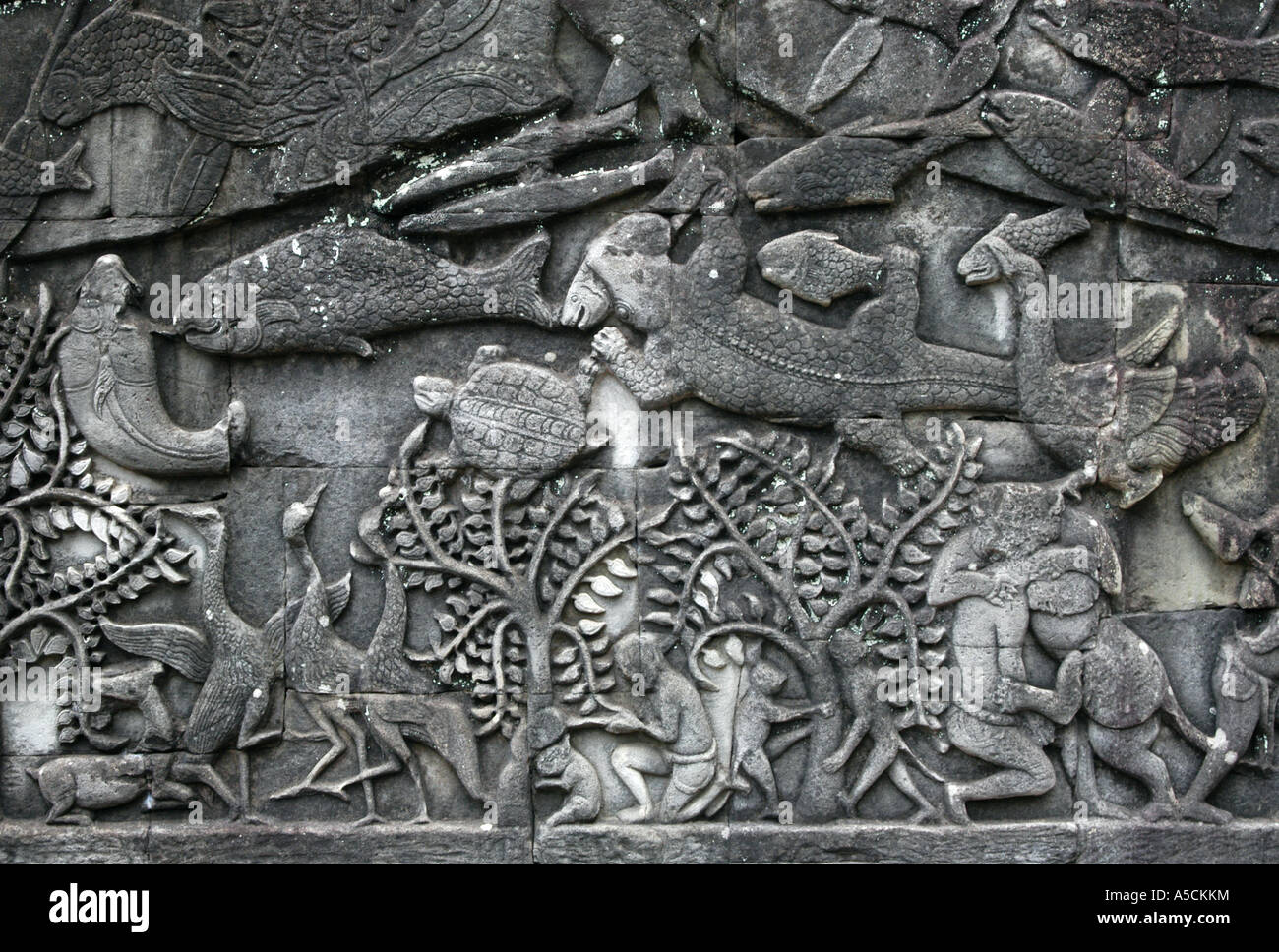 Animals from the Khmer bas-relief of Bayon Temple in the Angkor Area ...