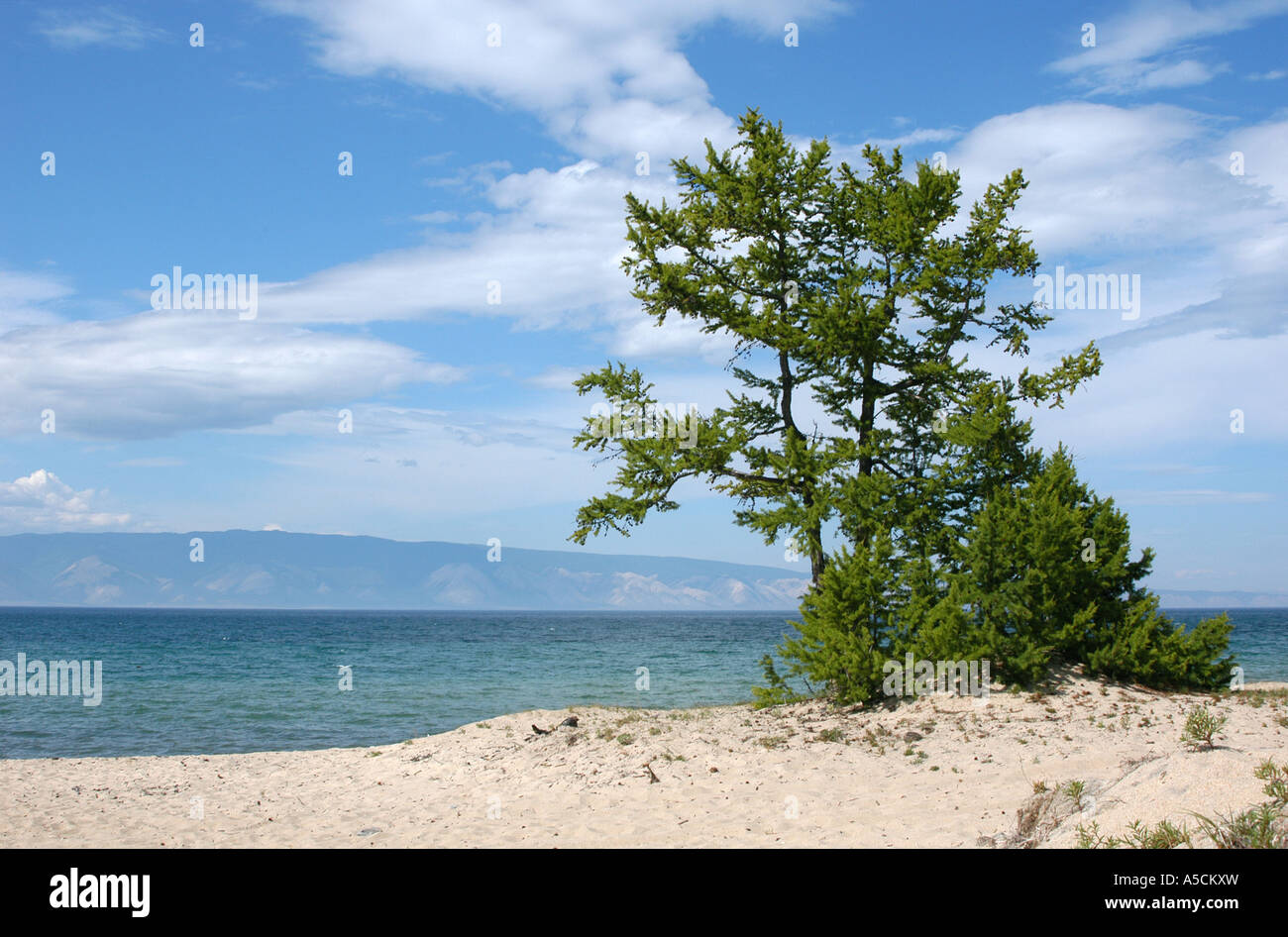 Saraysky hi-res stock photography and images - Alamy