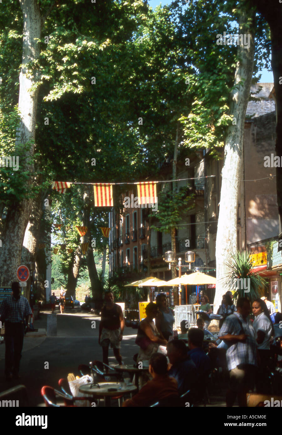 CERET CATALAN PYRENEES FRANCE HOME OF PICASSO CUBISM Stock Photo - Alamy