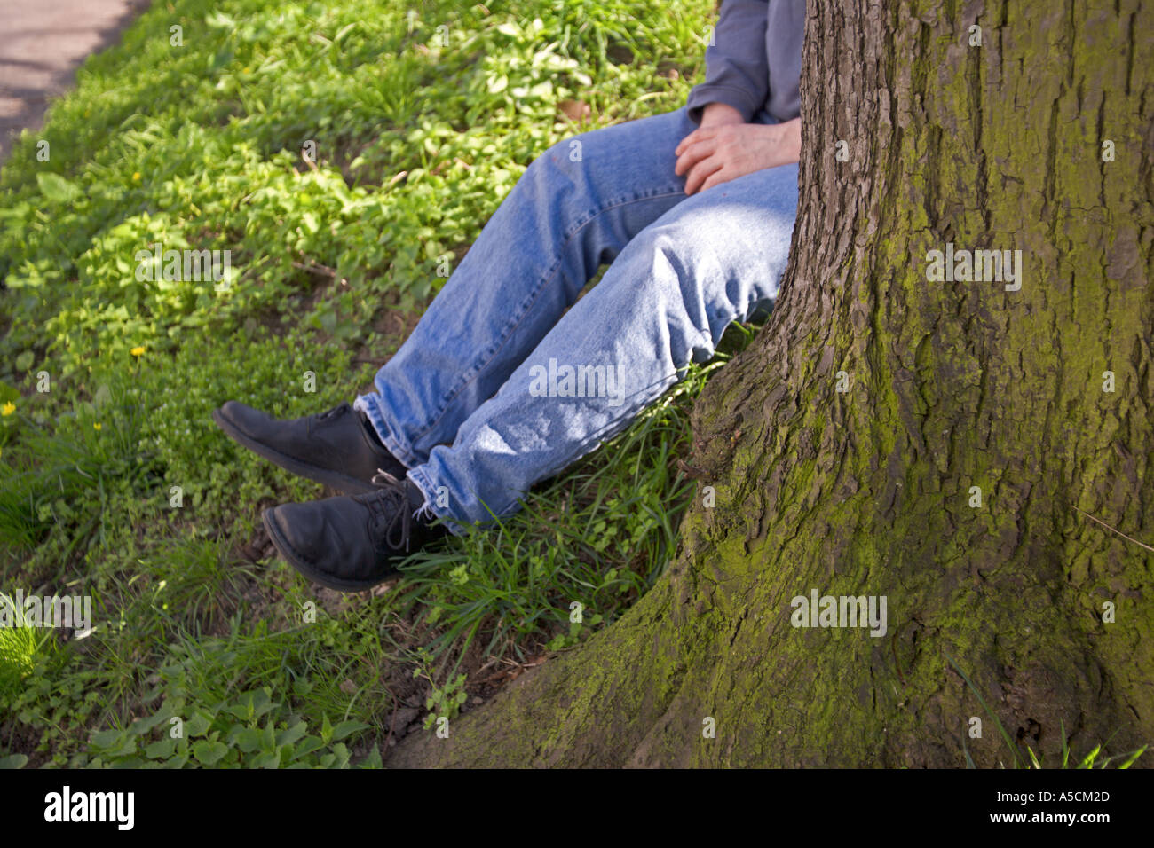 Man sitting behind a tree Stock Photo - Alamy