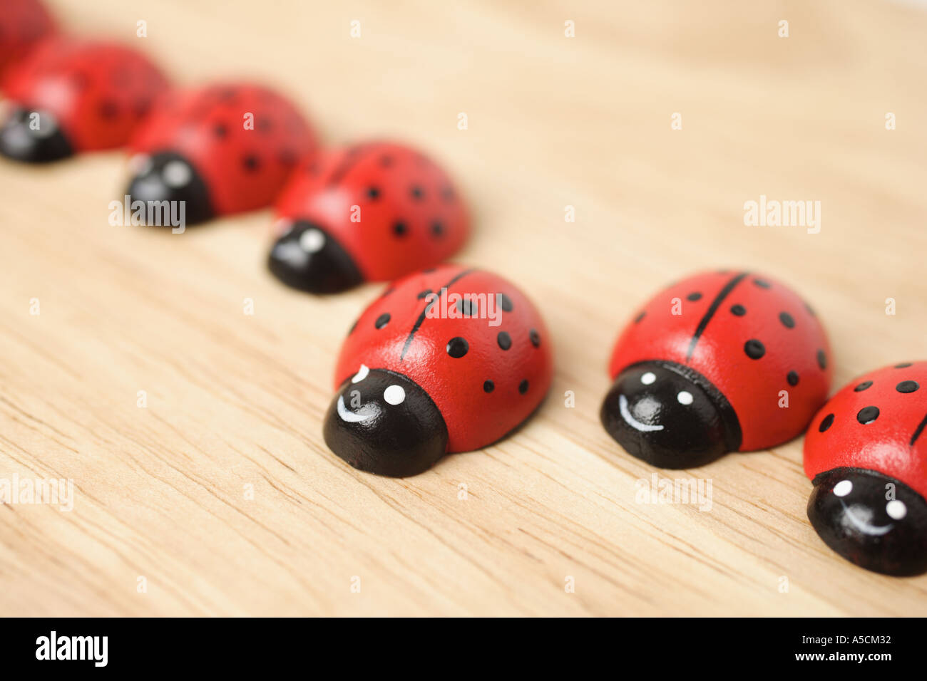 Ladybird on a table hi-res stock photography and images - Alamy