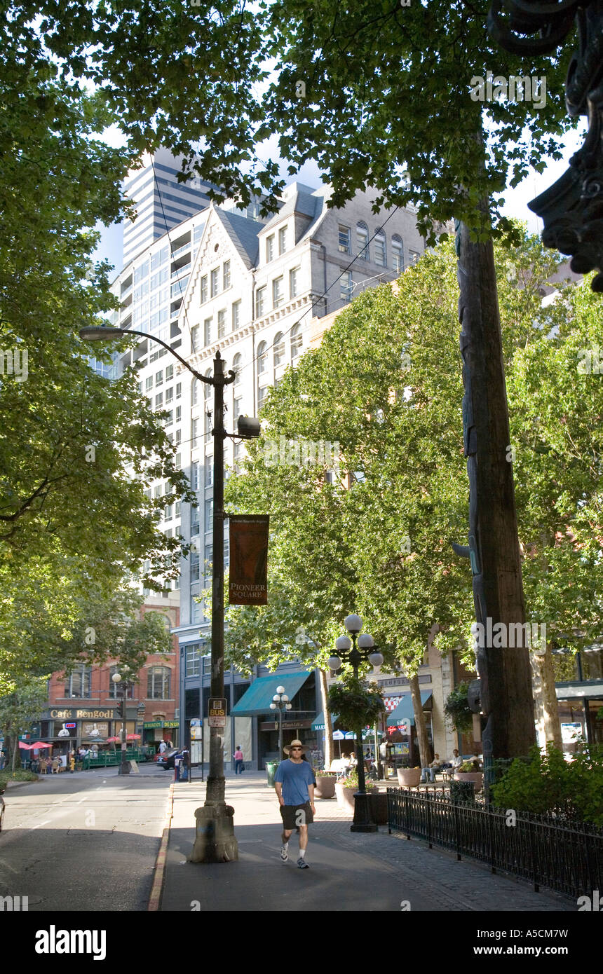 Square with trees hi-res stock photography and images - Alamy
