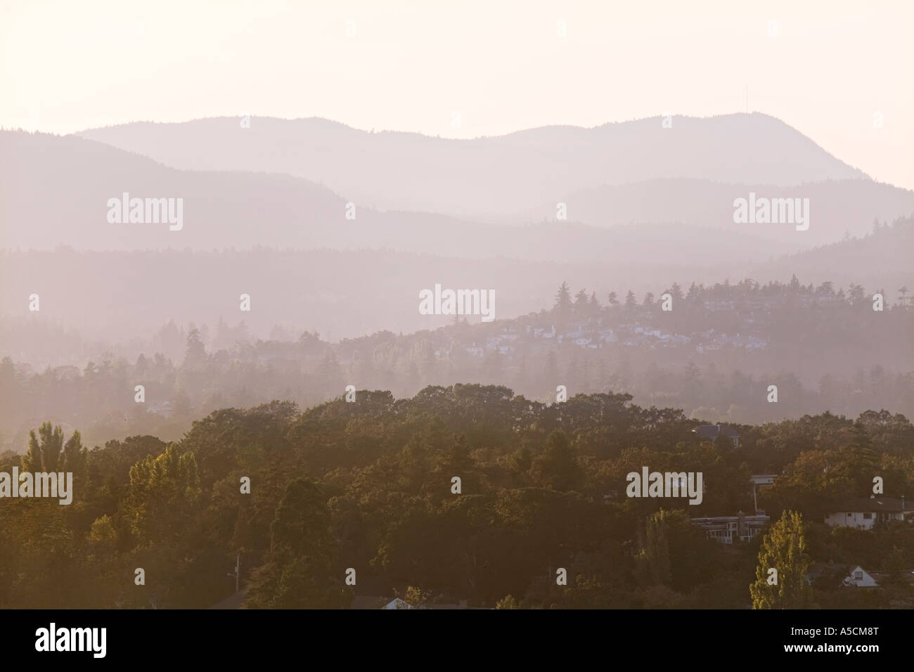 Forest victoria sunset dusk bc hi-res stock photography and images - Alamy