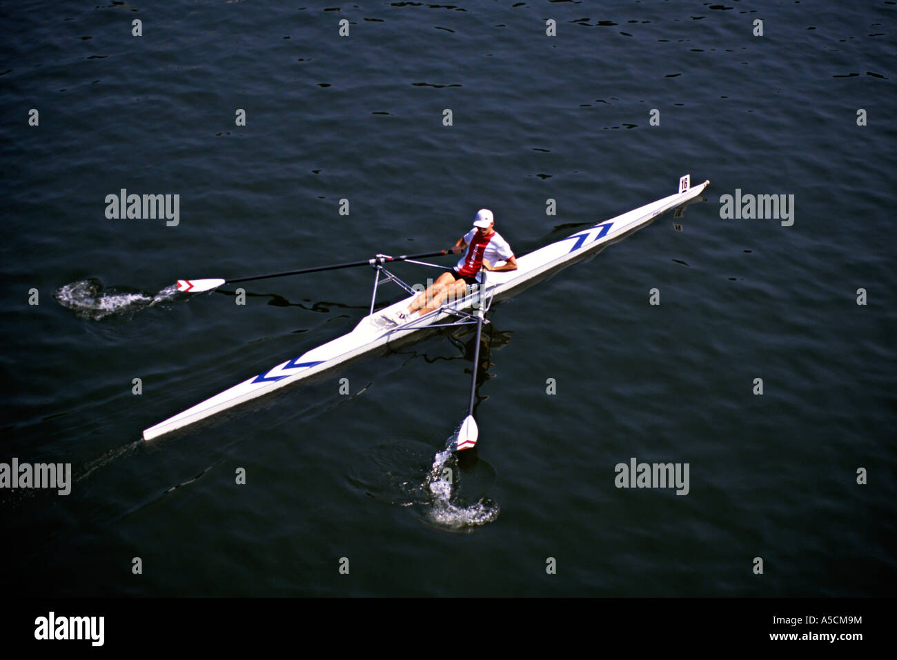 Single rowing skiff in race on river Neckar Heidelberg Germany Stock ...