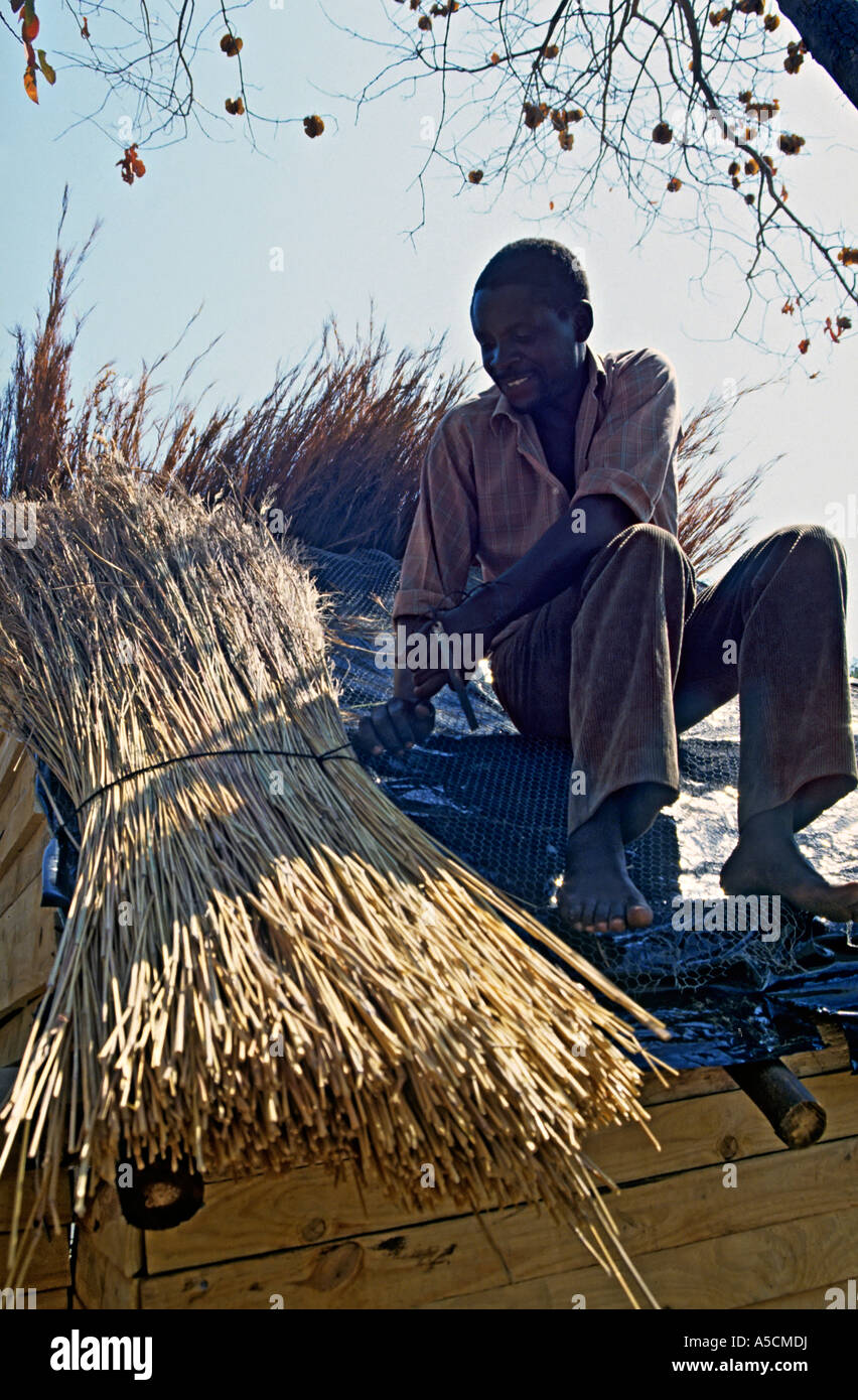 Thatching grass africa hi-res stock photography and images - Alamy