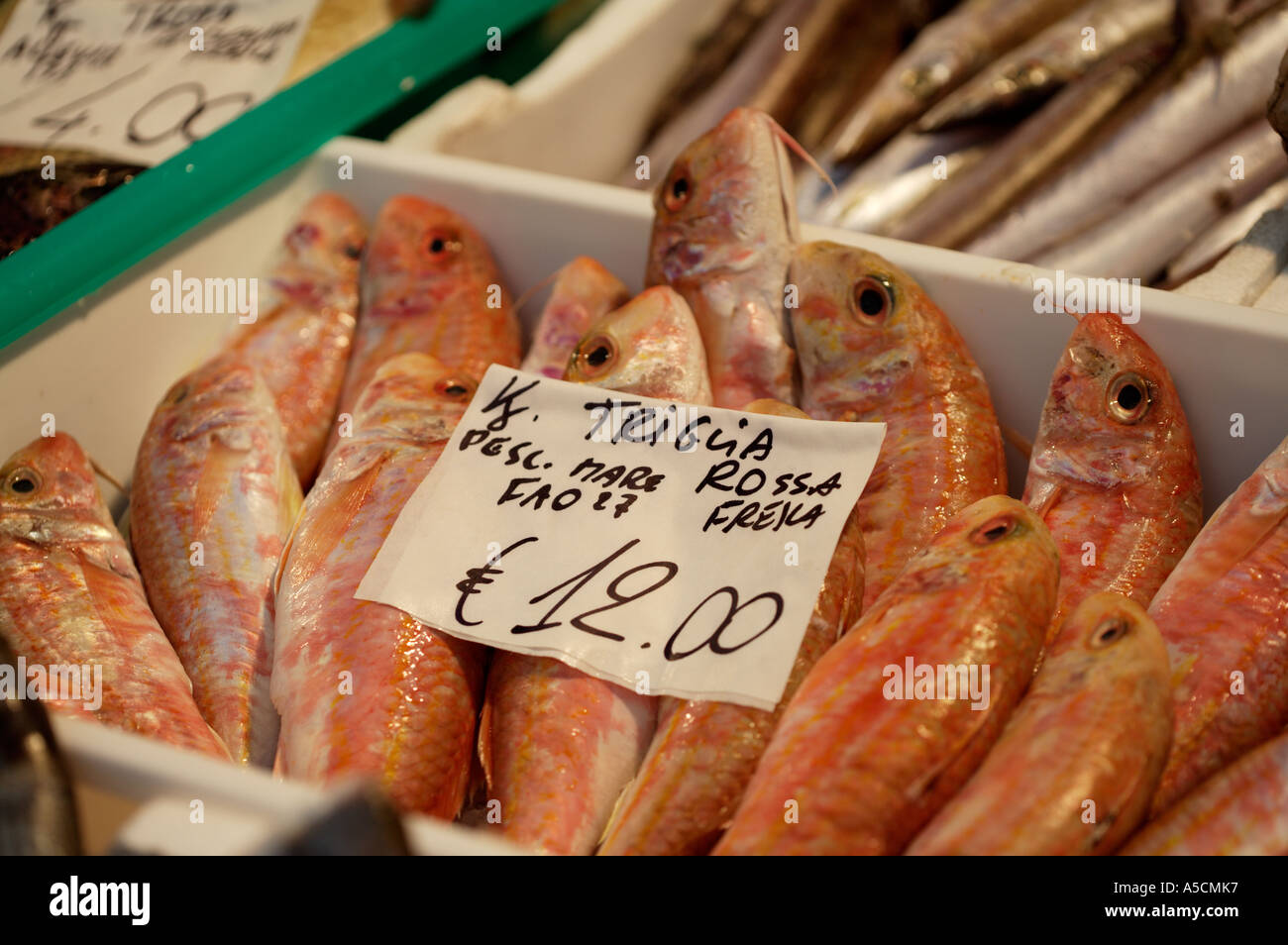 Fresh Red Mullet fish for sale Stock Photo - Alamy
