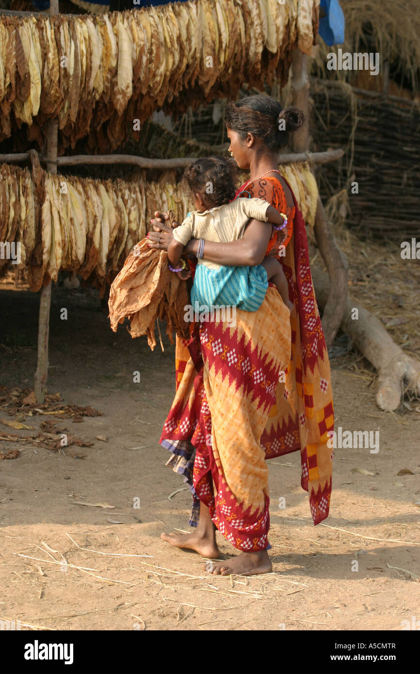Desia kondh tribal woman carrying hi-res stock photography and images ...