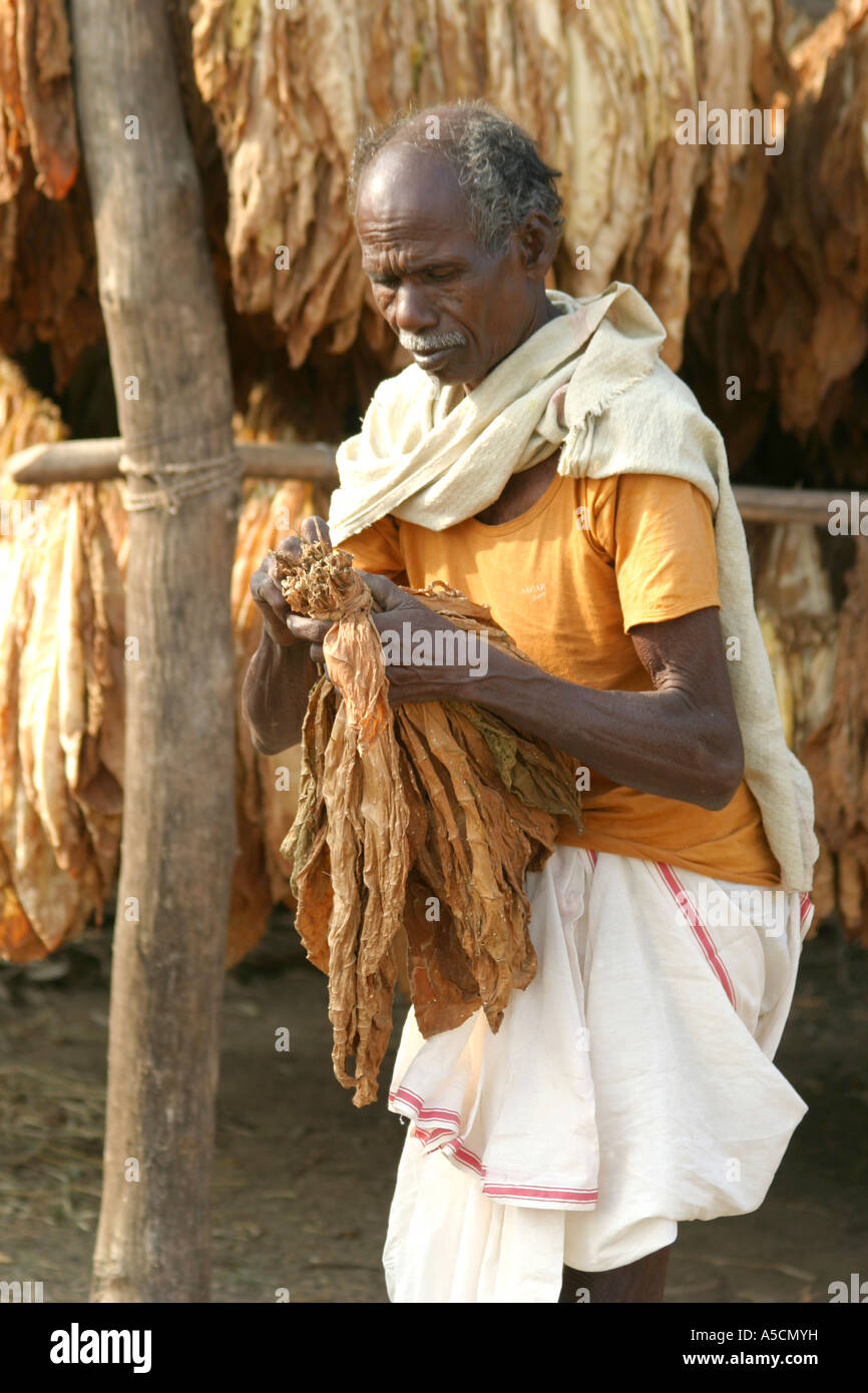 Desia Kondh Tribe High Resolution Stock Photography and Images - Alamy