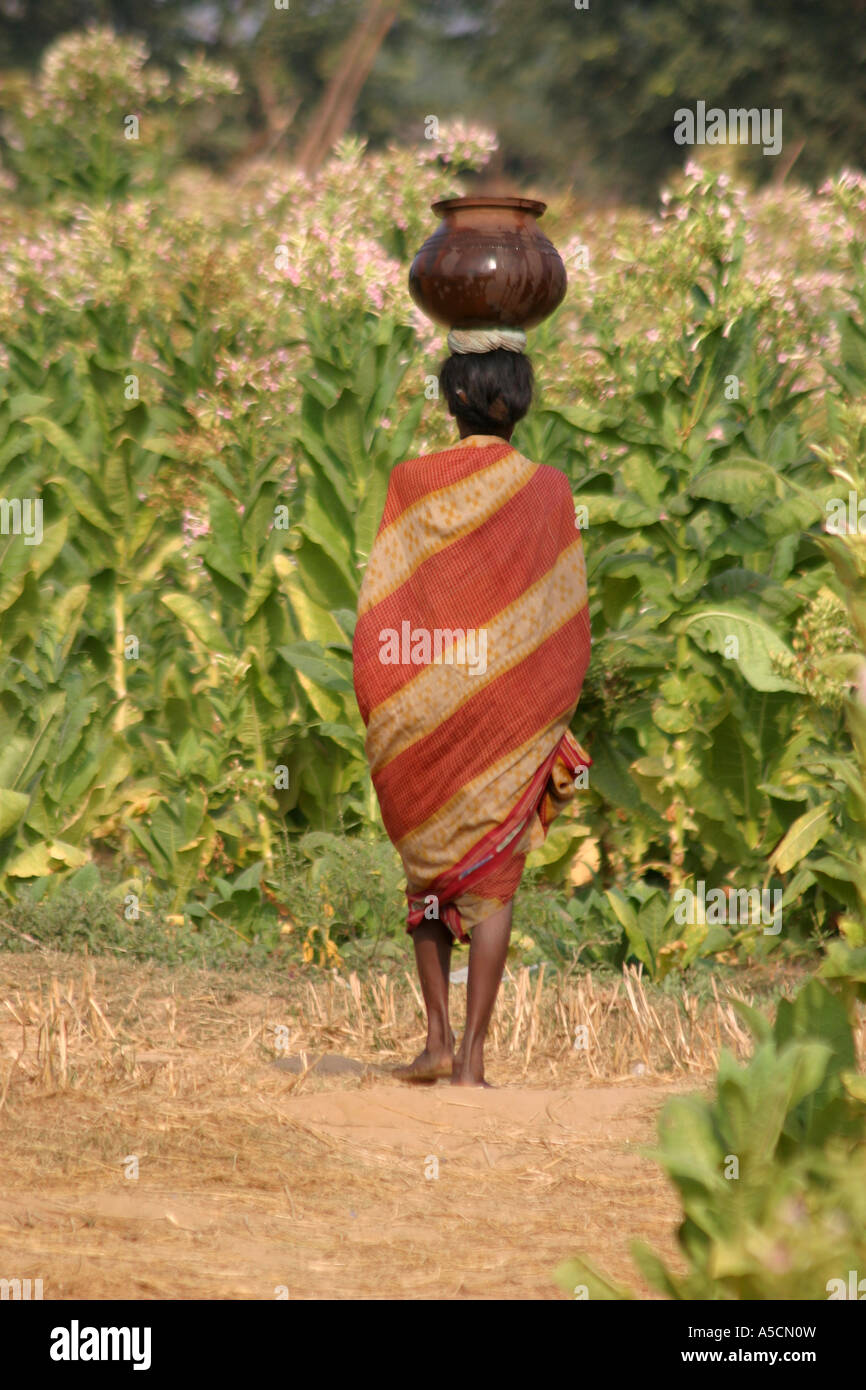 Desia Kondh Tribe High Resolution Stock Photography and Images - Alamy