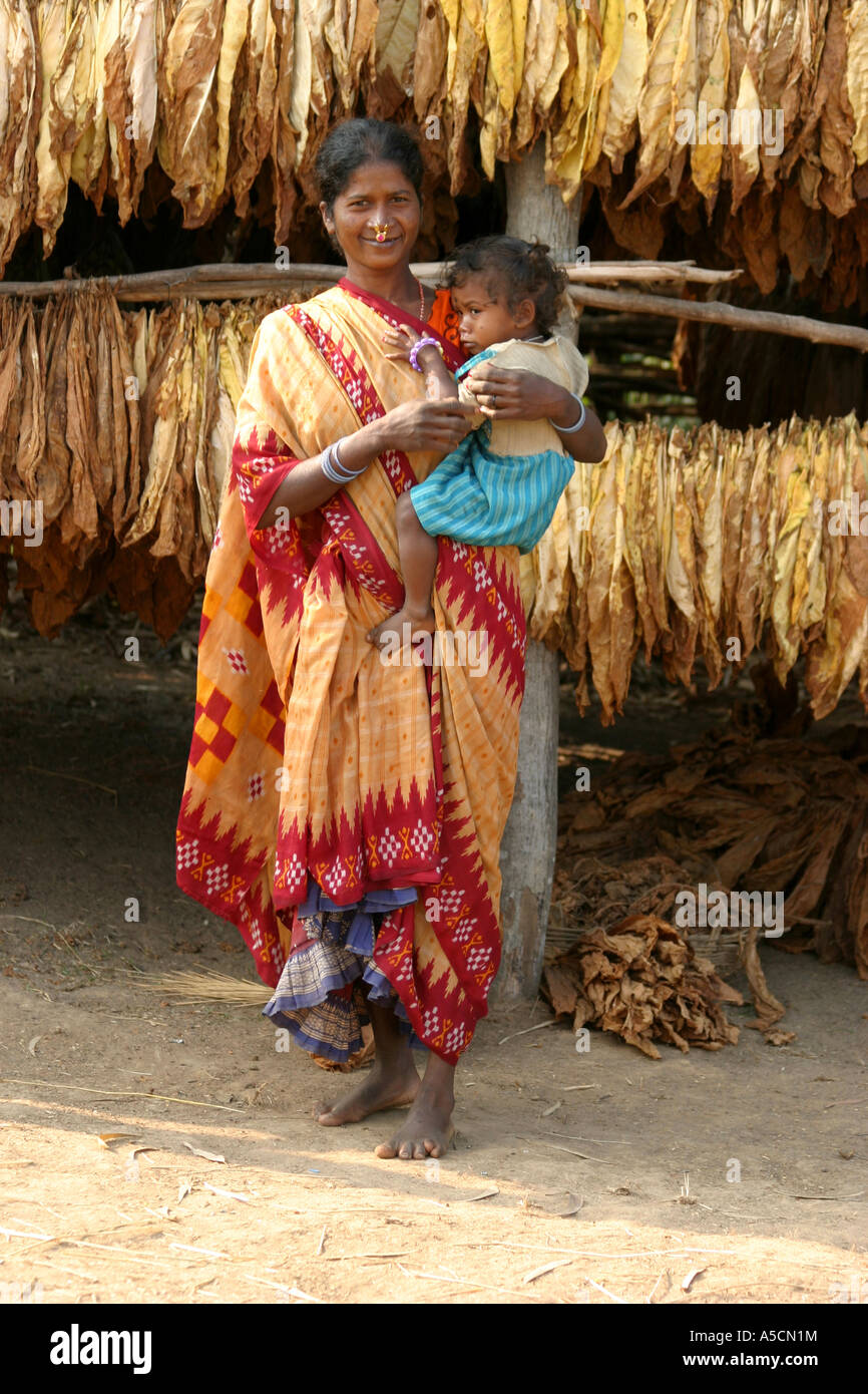 Desia Kondh tribal preparing tobacco leaves for drying in Bhatpur ...