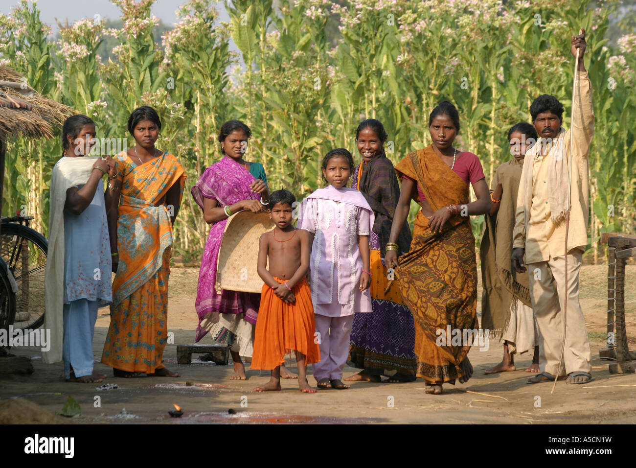 Desia Kondh tribal inhabitants of Bhatpur village Orissa India Stock ...
