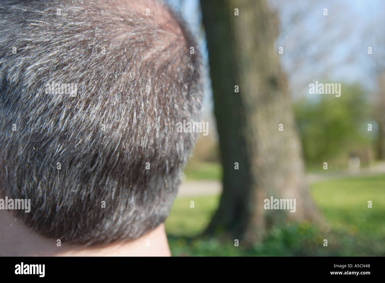 Back view of a man outdoors Stock Photo - Alamy