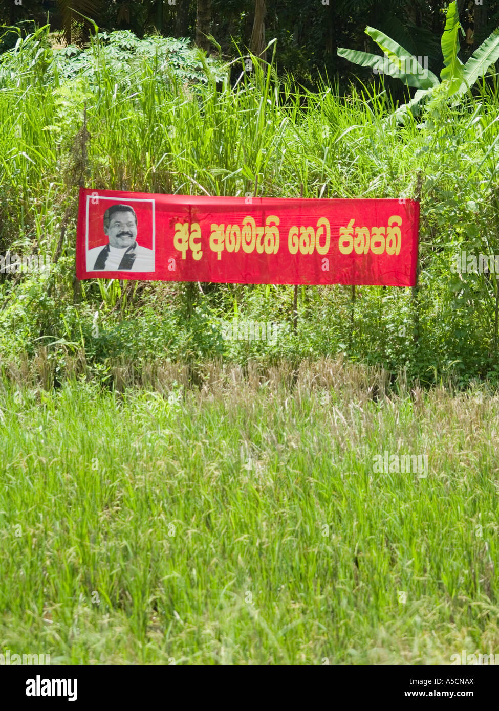 Political campaign posters hi-res stock photography and images - Alamy