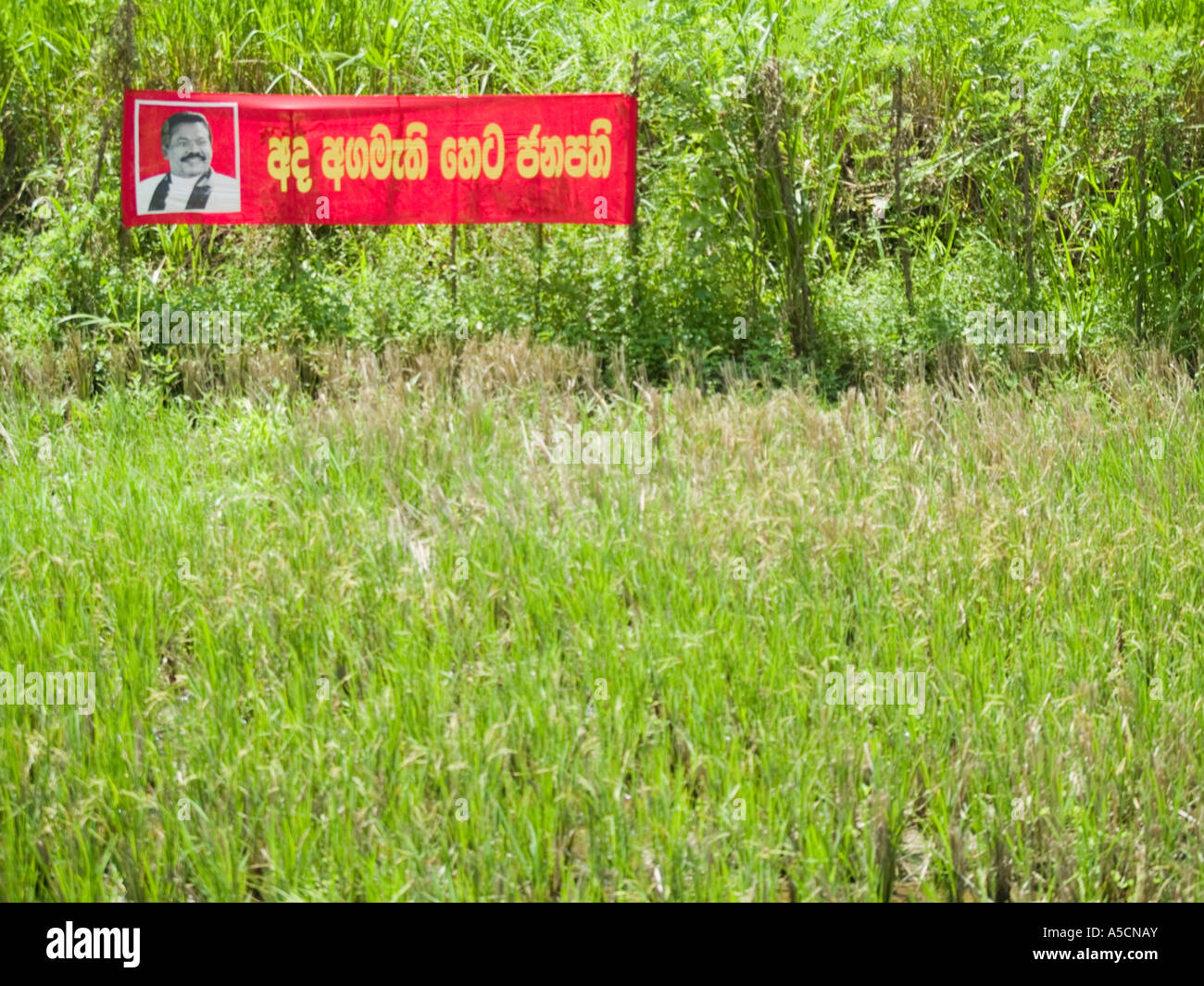 Photograph of political campaign sign hi-res stock photography and ...
