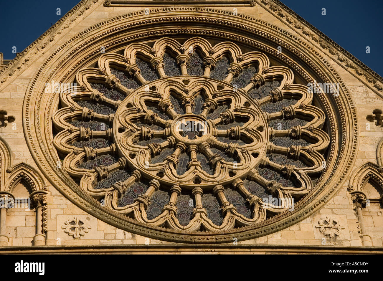 Close up of the Rose Window York Minster York North Yorkshire England ...