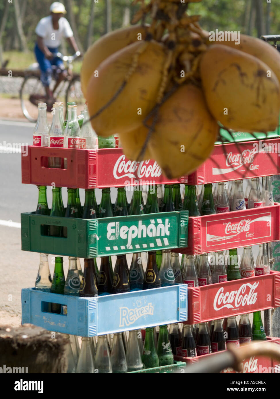 Local Sri Lankan soft drinks vs international brands with coconut water ...