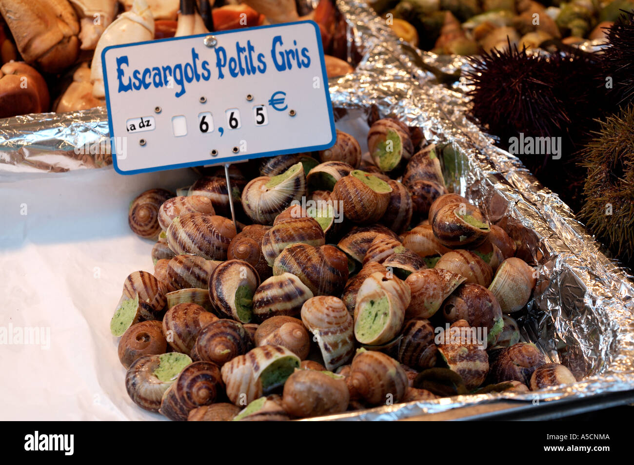 Snails / escargots with garlic for sale Stock Photo - Alamy