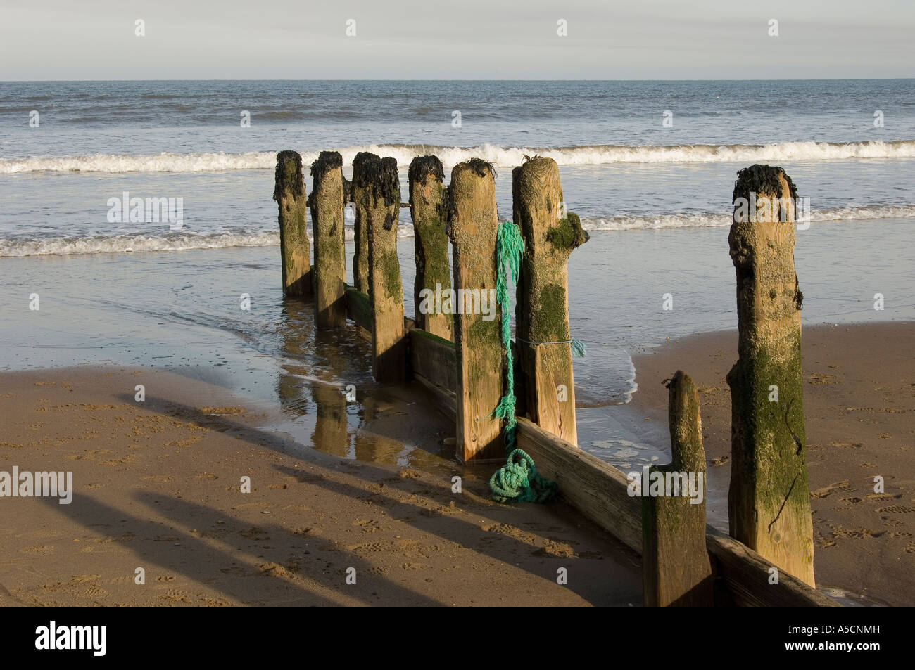 Groyne groynes breakwater on the beach at Sandsend near Whitby North ...