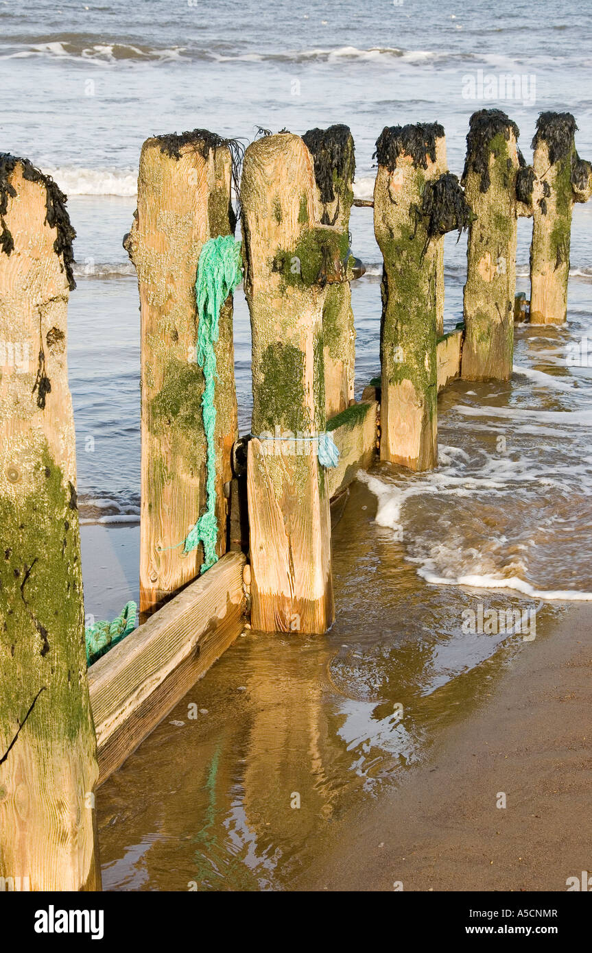 Whitby sea defences hi-res stock photography and images - Alamy