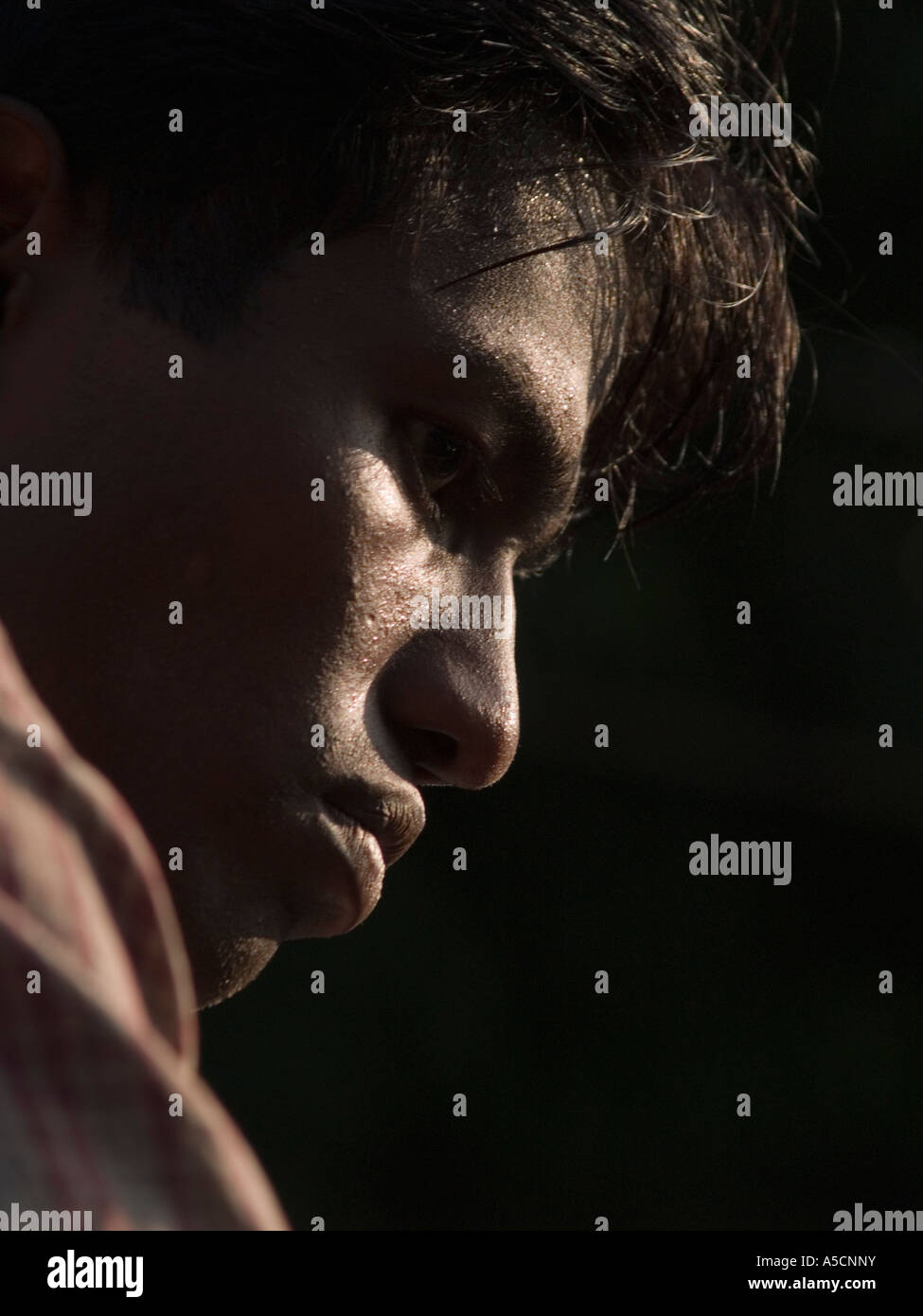 Profile of a man Stock Photo - Alamy